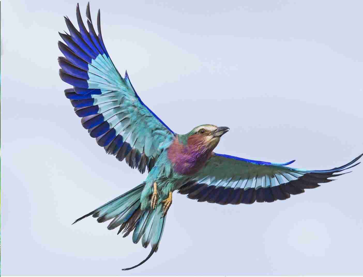 AQAD - ASSET Question A Day