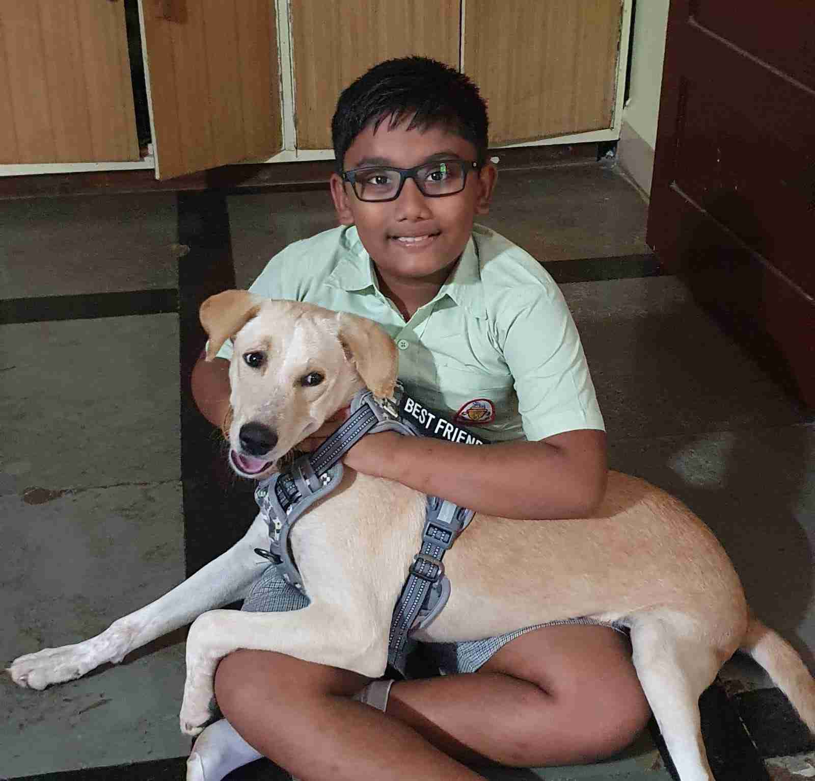 AQAD - ASSET Question A Day