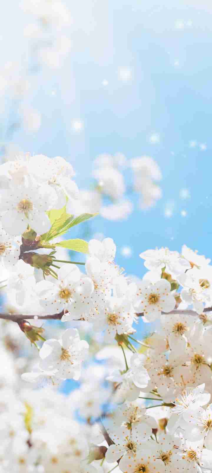 AQAD - ASSET Question A Day